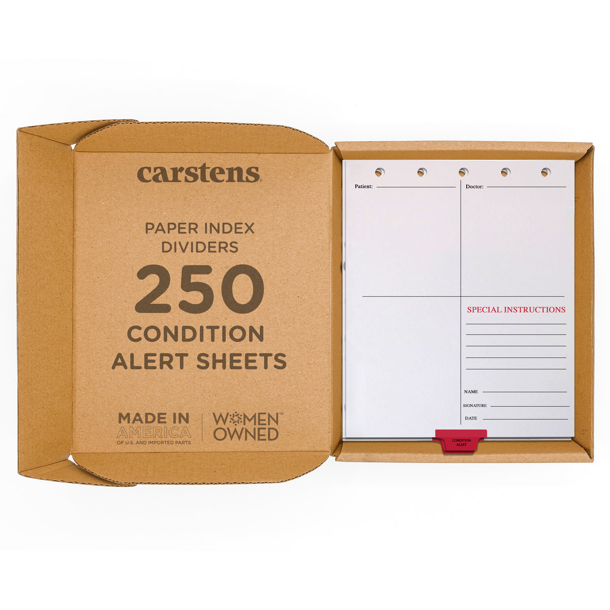Condition Alert Sheet Binder Divider | Carstens
