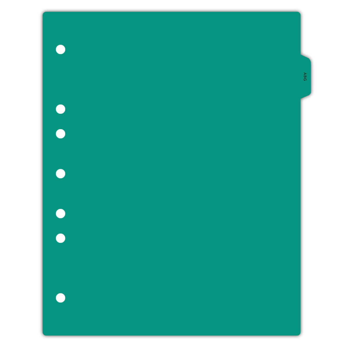 Individual Pre-Titled Divider Tabs – Customize Your Chart Divider Set ...