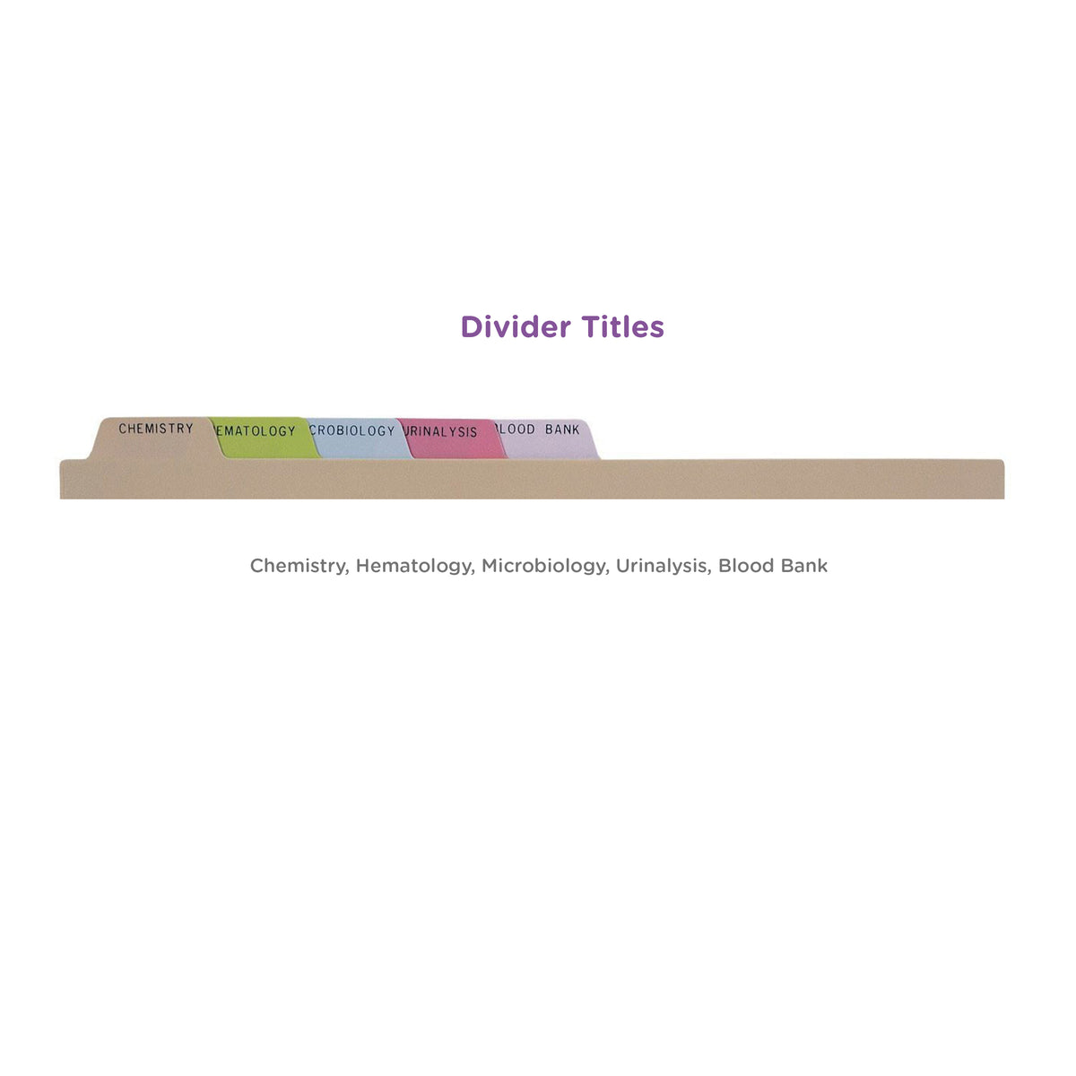 Heavy Duty Plastic Medical Lab Divider Set | Carstens