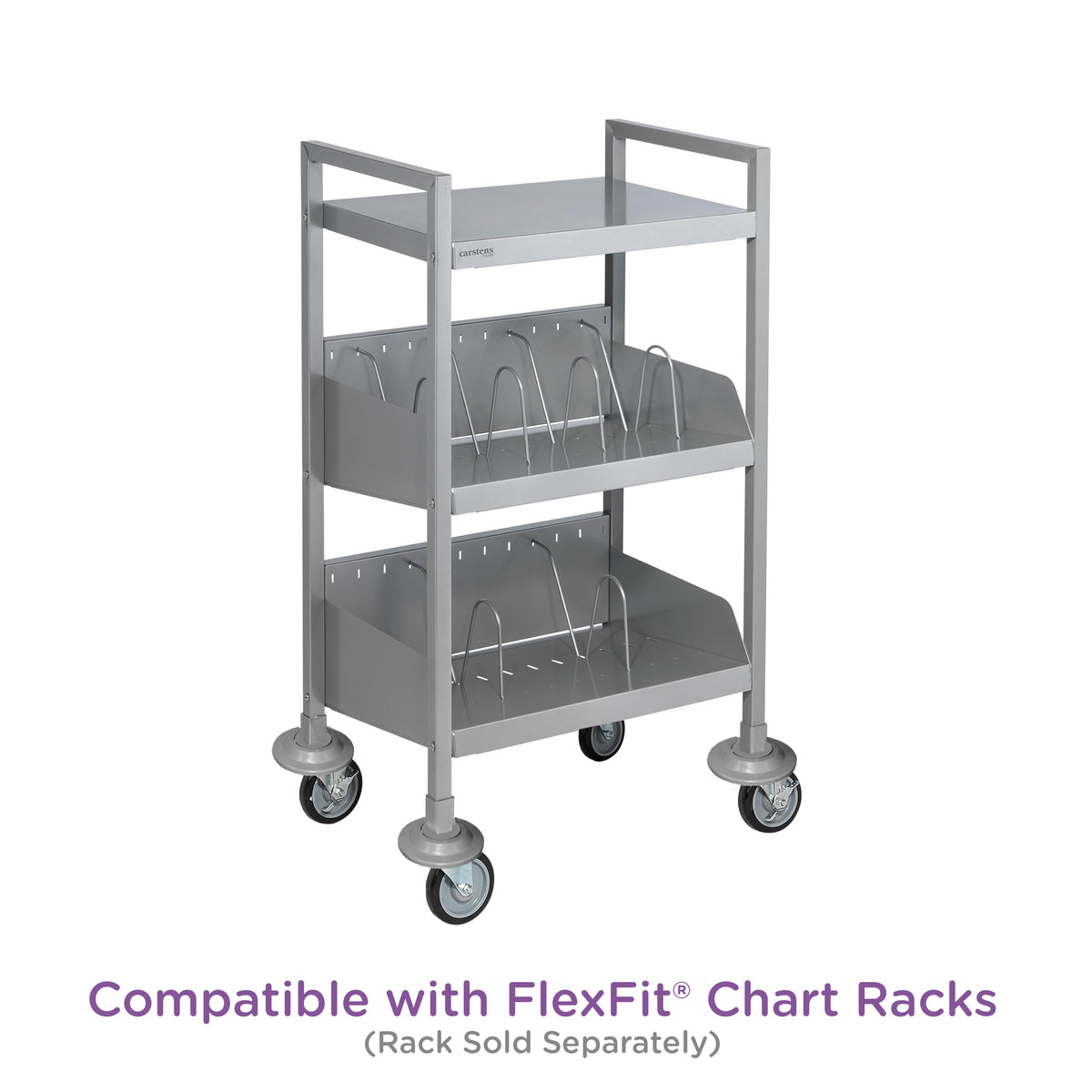 Mobile Chart Rack Divider Accessory | Carstens